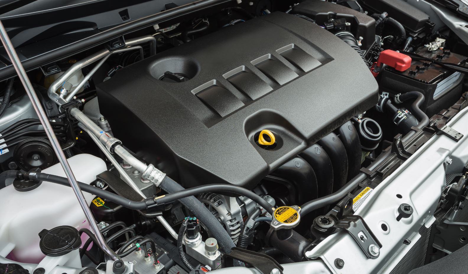 Fap Cleaner®-Station